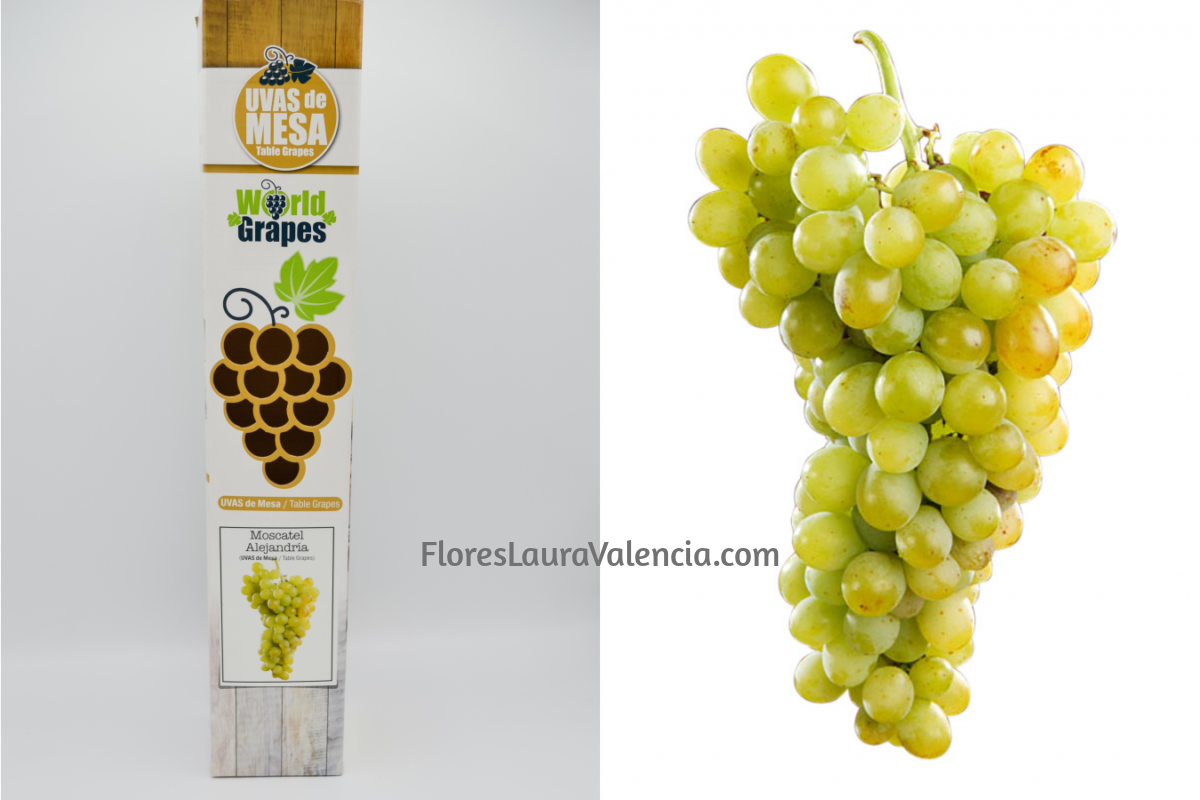 Cepas de Uvas de Mesa, Vino 100% Casero- Flores Laura